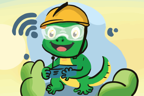 Gecko Internet - Best Business and Home Internet Provider in Bali for ...