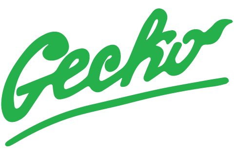 Gecko Internet - Best Business and Home Internet Provider in Bali for ...